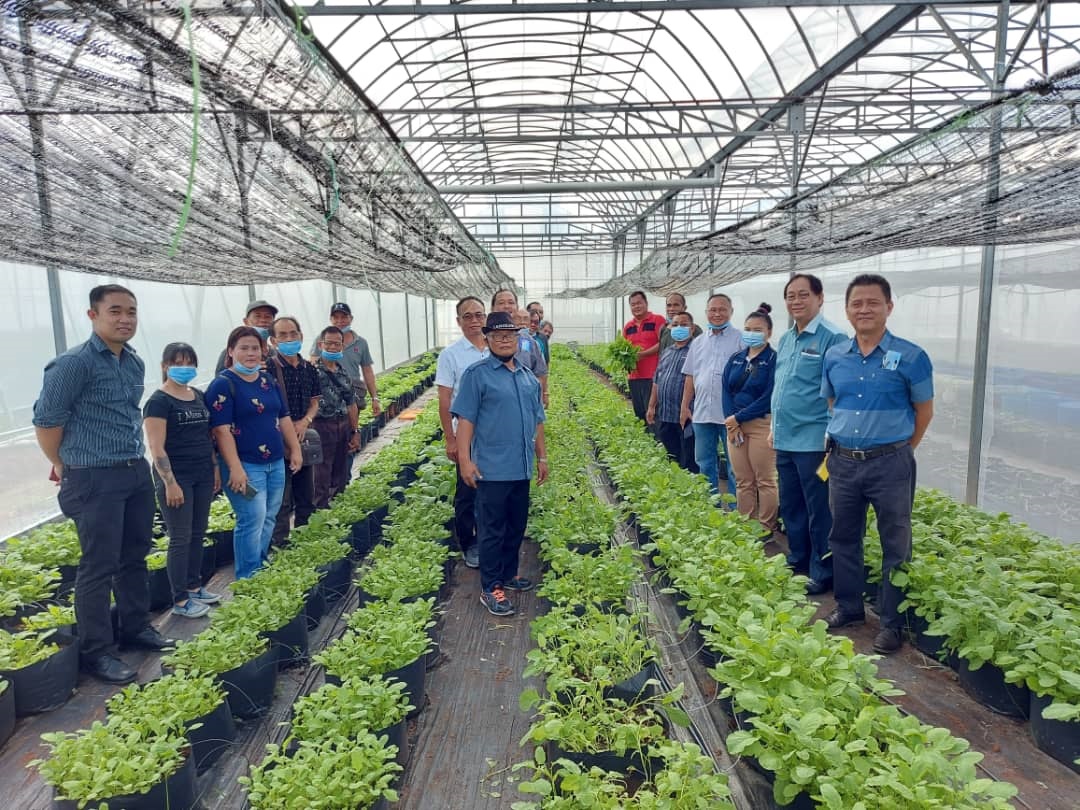 Pertanian moden perlu dipertingkat - UTUSAN SARAWAK