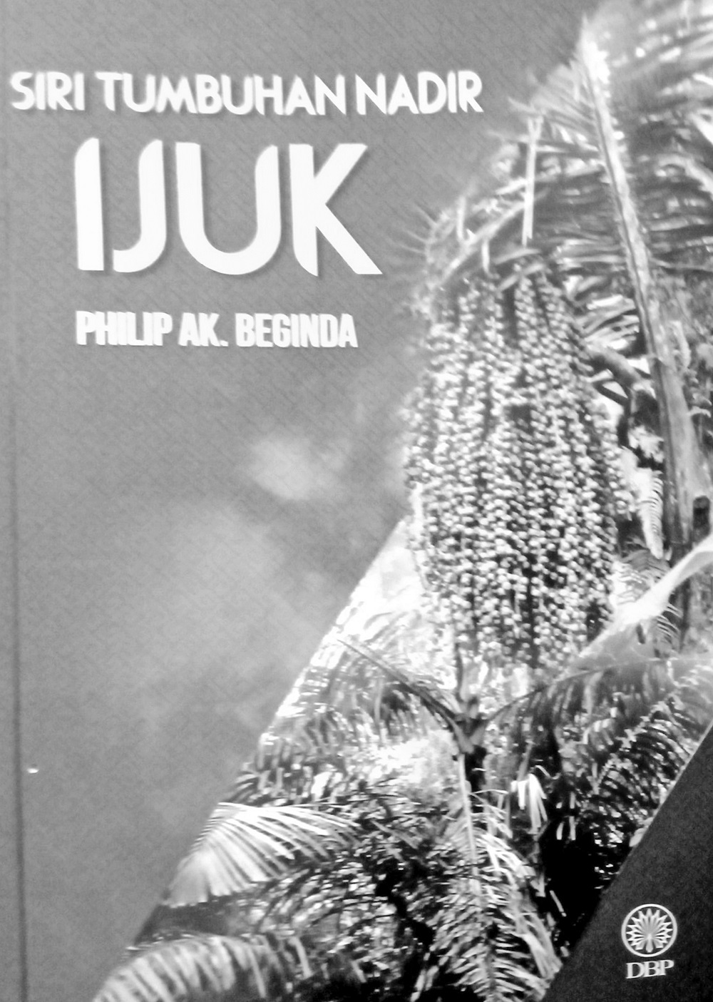 PALMA IJUK ADA NILAI KOMERSIAL - UTUSAN SARAWAK
