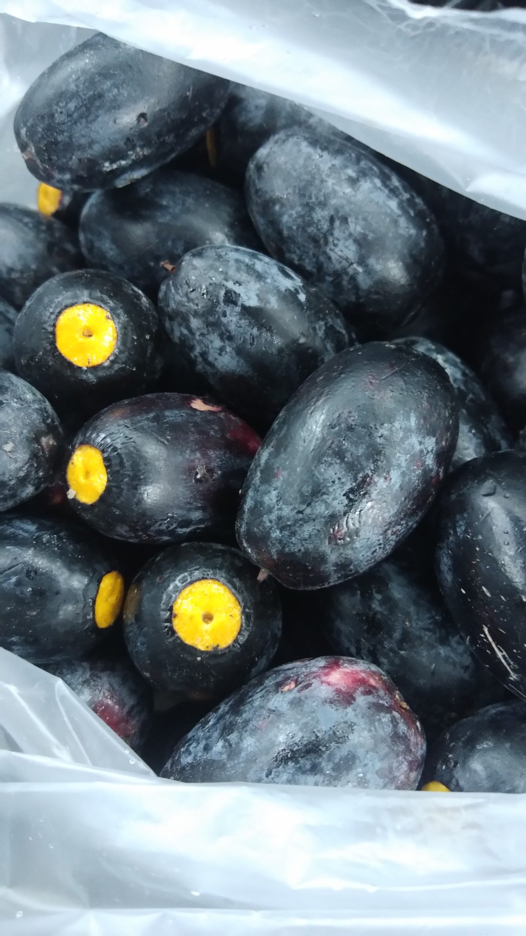 Buah dabai atau ‘kembayau’ turut menjadi rebutan orang Brunei - UTUSAN ...